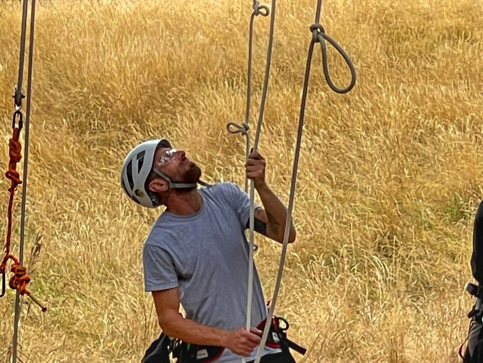 Courses – Tree Climbing Planet