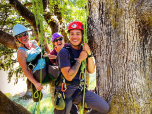 Courses – Tree Climbing Planet