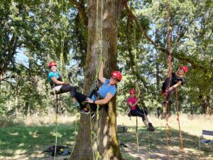 Courses – Tree Climbing Planet