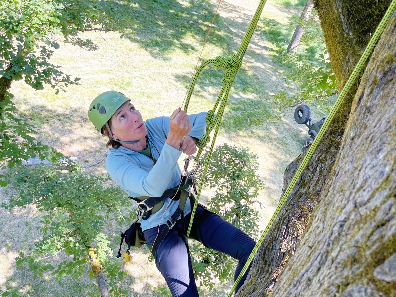 Courses – Tree Climbing Planet