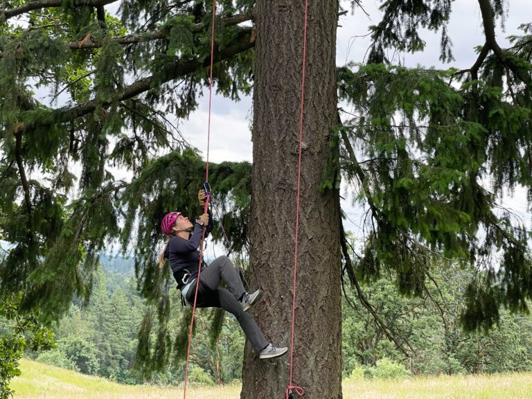Courses – Tree Climbing Planet
