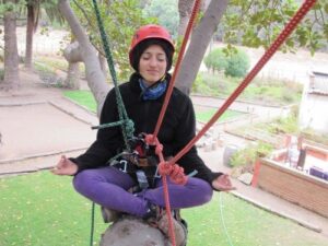 Courses – Tree Climbing Planet